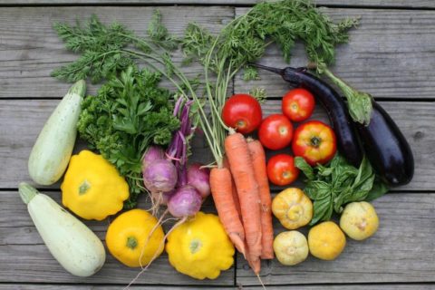 Washing Vegetables with Vinegar (Works for Fruit too!)